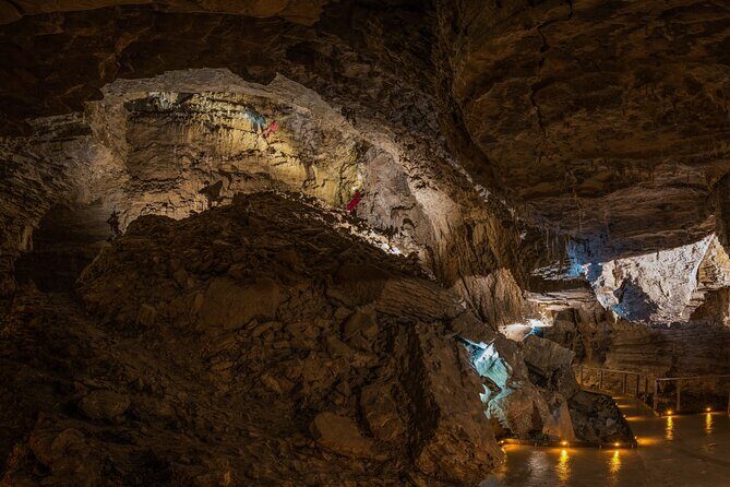 Ruakuri Cave and Hamilton Gardens Private Day Tour from Auckland - Who Should Consider This Tour?