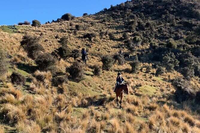 Rubicon Valley Horse Treks - 2 Hour River Trail Horse Trek - Authentic Feedback and What Travelers Say