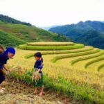 Sa Pa: 6-Hours Muong Hoa Valley Trek with Local Ethnic guide - The Trail: What to Expect