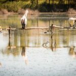 SA Riverland: 3-Day Murray River & National Parks Eco Tour - What Does the Tour Cost and What’s Included?