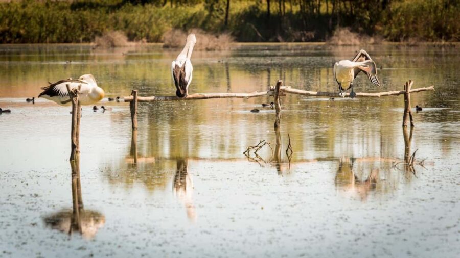 SA Riverland: 3-Day Murray River & National Parks Eco Tour - What Does the Tour Cost and What’s Included?
