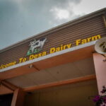 Sabah: Kinabalu Park, Poring Hot Springs & Desa Farm Tour - Who Should Consider This Tour?