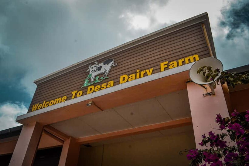 Sabah: Kinabalu Park, Poring Hot Springs & Desa Farm Tour - Who Should Consider This Tour?