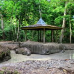 Sabah: Pulau Tiga Snorkeling Day Trip with Lunch - Who Will Love This Tour?