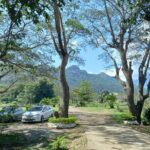 Sabeto Hot Springs and Mud Pool Tour - The Experience from Travelers