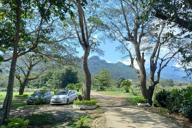 Sabeto Hot Springs and Mud Pool Tour - The Experience from Travelers