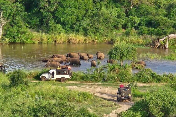 Safari Jeep in Hurulu Eco Park Sri Lanka wit Pigeon Island Tours - Practicalities and Tips for Your Safari