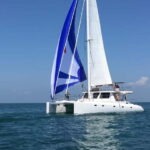 Sail Lanka Charter - Whale Watching Cruise In Trincomalee - What’s the Value for Travelers?