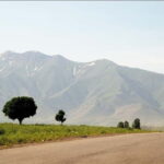 Samarkand - Shakhrisabz - Bukhara One Day Trip - Who Will Love This Tour?