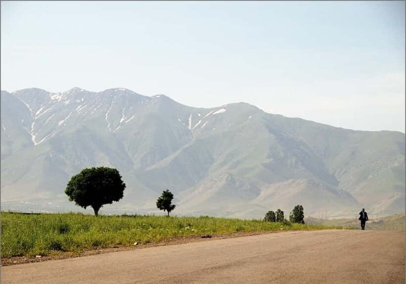 Samarkand - Shakhrisabz - Bukhara One Day Trip - Who Will Love This Tour?
