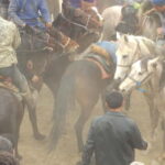 Samarkand: Uloq-Kopkari (Buzkashi) Game Day Tour - Who Should Consider This Tour?