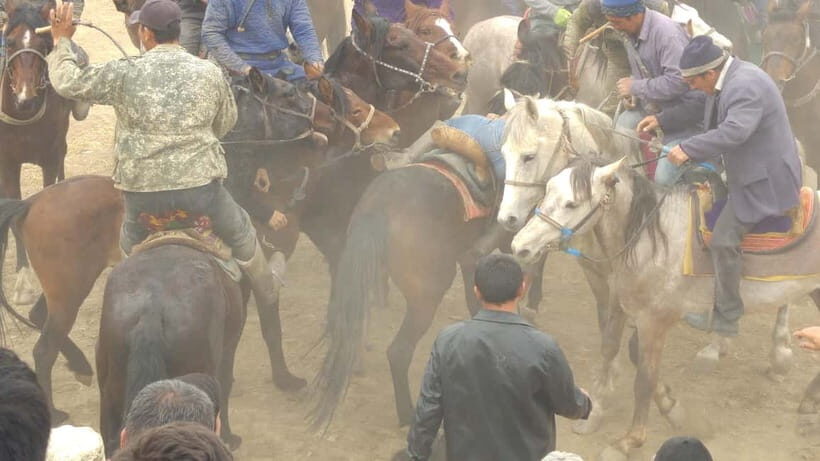 Samarkand: Uloq-Kopkari (Buzkashi) Game Day Tour - Who Should Consider This Tour?