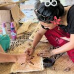 Samoa in a Day: Customizable Tour of Beaches, Waterfalls, Culture - Who Should Consider This Tour?
