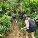 Samoa: Lake Lanoto'o Volcanic Crater Lake Hike & Swim - The Hike: A Test of Endurance and Spirit