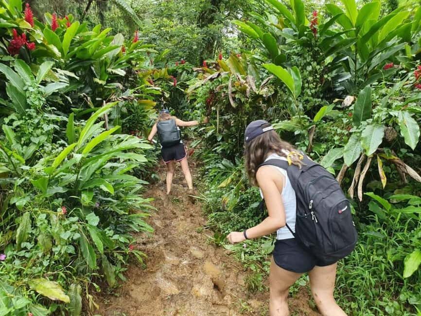 Samoa: Lake Lanoto'o Volcanic Crater Lake Hike & Swim - The Hike: A Test of Endurance and Spirit