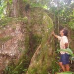 Samoa: National Park Lava Cliffs & Black Sand Beach Day Tour - What Travelers Say About This Tour