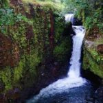 Samoa: Pristine Waters of Upolu, All Inclusive Full Day Tour - What’s Included and What to Expect