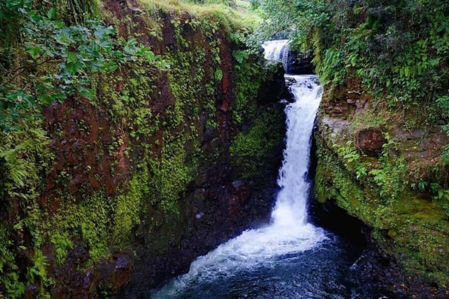 Samoa: Pristine Waters of Upolu, All Inclusive Full Day Tour - What’s Included and What to Expect