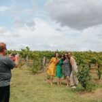 Sample the Hunter Half Day Tour - Transportation, Group Size, and Price