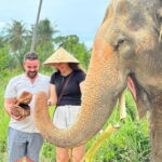 Samui: Elephant Home Sanctuary and the first elephant museum - Authenticity and Ethical Focus