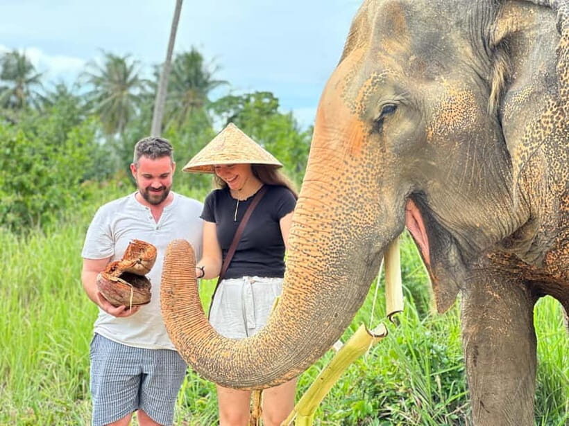Samui: Elephant Home Sanctuary and the first elephant museum - Authenticity and Ethical Focus