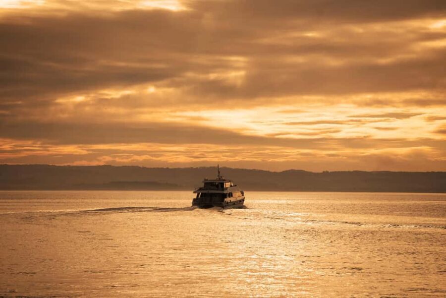 San Remo: Phillip Island Sunset Cruise - Scenic Highlights: Islands and Wildlife