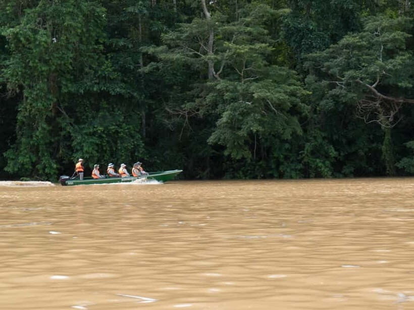 Sandakan: Sukau Rainforest Wildlife Journey & Dawn Cruises - Practical Tips for a Successful Trip