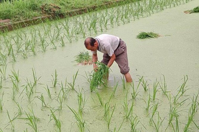 Sanjiang Chengyang Dong Village Private Day Tour From Guilin or Yangshuo - What Travelers Are Saying