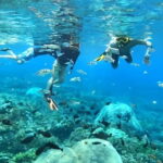Sanur Bali: Snorkeling Tour Experience with Hotel Transfer - The Itinerary: What to Expect Step-by-Step