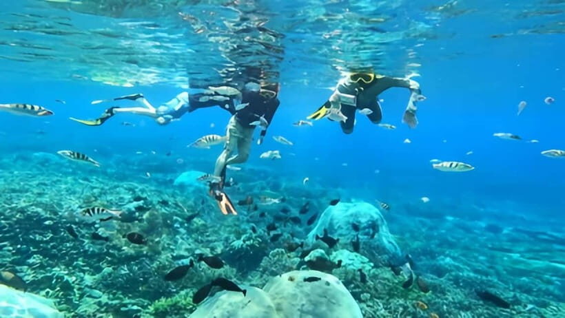 Sanur Bali: Snorkeling Tour Experience with Hotel Transfer - The Itinerary: What to Expect Step-by-Step