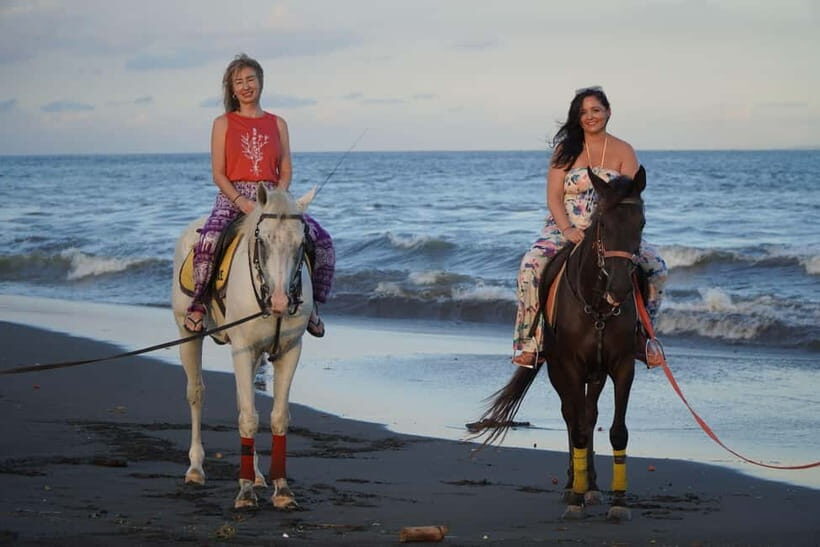 Sanur: Horse Riding at the Bali Beach 30 minute ride - The Realities of the Experience
