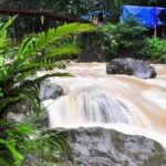 Sapa 2 Days 1 Night From Hanoi - Overnight in Hotel - The Trekking Experience: A Closer Look