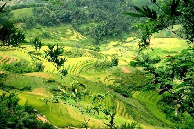 Sapa 2 Days 1 Night From Hanoi - Overnight in Ta Van Homestay - What Makes This Tour Stand Out?
