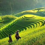 SAPA 2 DAYS 1 NIGHT WITH FANSIPAN - The Thrilling Ascent to Fansipan
