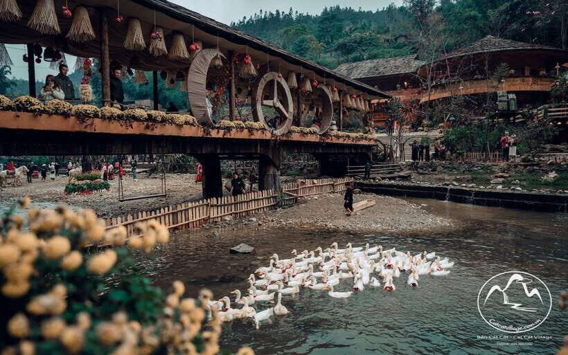 Sapa Cat Cat Village And Y Linh Ho Private Trekking Tour - What to Expect at Each Stop