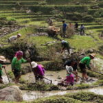 SAPA FREE 1 DAY TREEKKING WITH CHAN - Why This Tour Offers Great Value