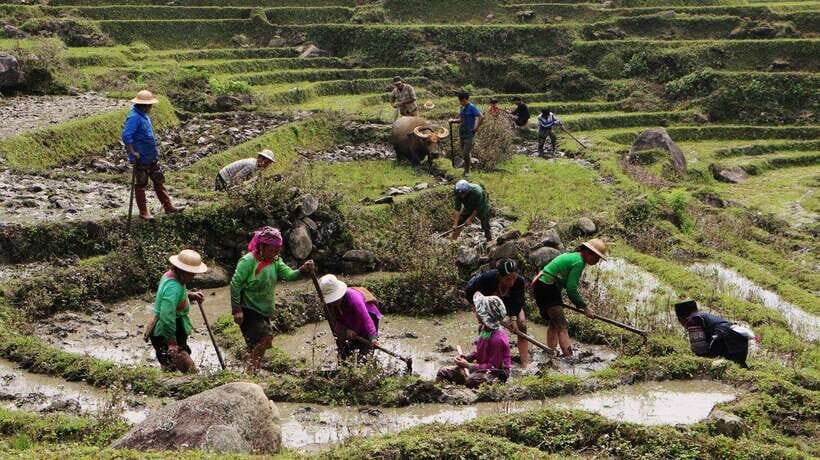 SAPA FREE 1 DAY TREEKKING WITH CHAN - Why This Tour Offers Great Value