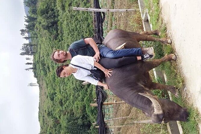Sapa private: One day of funny Buffalo Ride & Trekking Tour - Who Should Consider This Tour?