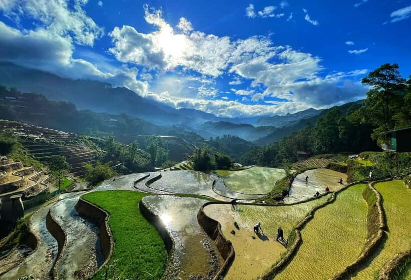Sapa Trekking Explore Terraced Rice Fields, Ethnic Culture - Who Should Consider This Tour?