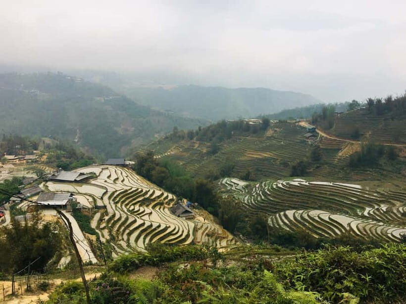 Sapa Trekking Guide Francophone 2 days  1 night - Exploring the Detailed Itinerary of the Sapa Trek