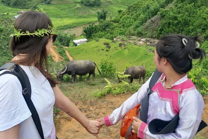 Sapa trekking - Homestay 2Days - Practical Details: What to Expect