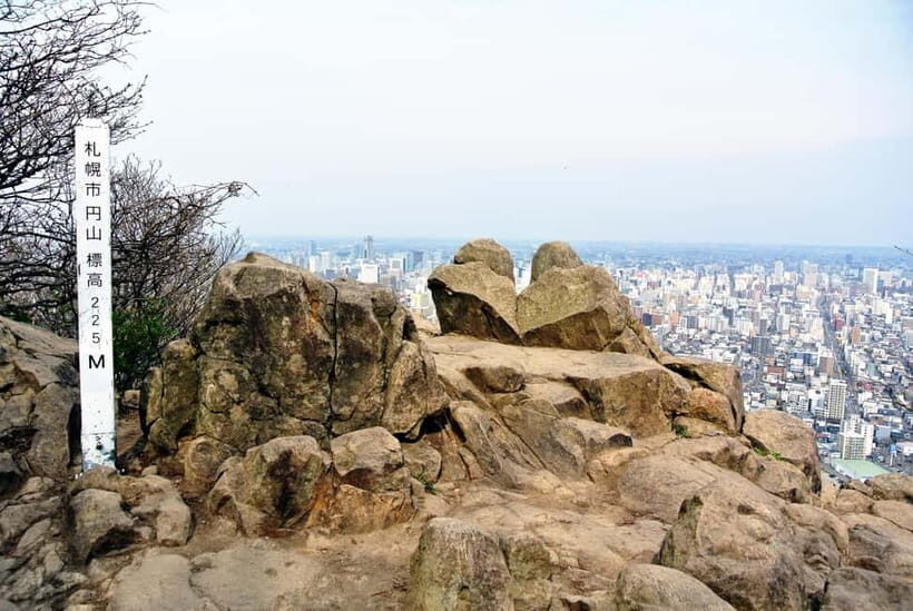Sapporo: Mt. Maruyama Hike & Okurayama Ski Jump - The Cost and Its Value