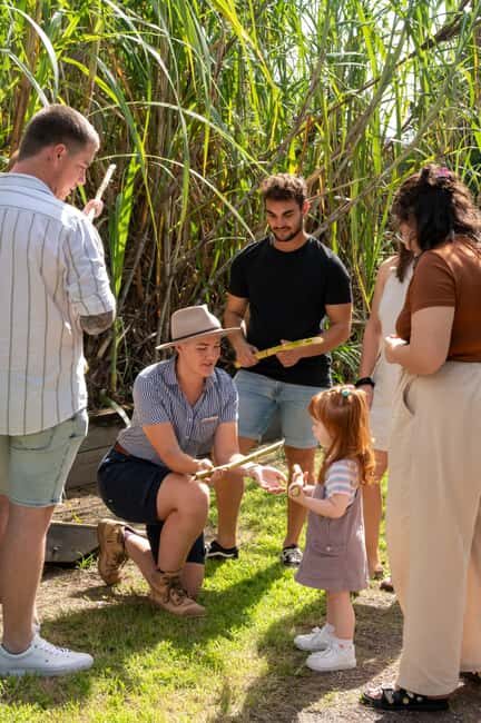 Sarina: Guided Tour of the Sarina Sugar Shed with Tasting - Value and Practical Considerations
