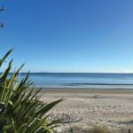 Saturday Sights and Flavours Tour - Why This Tour Offers Good Value