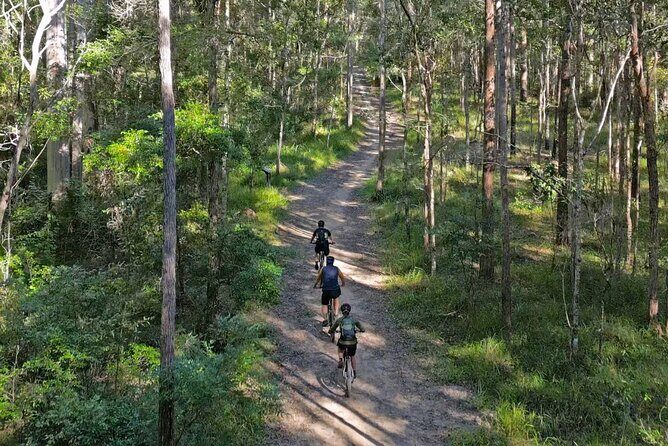 Scenic eBike of the Noosa Biosphere Trail Network - Why the Guides Make a Difference