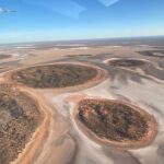 Scenic Plane Flight: Lizard Safari - The Sum Up
