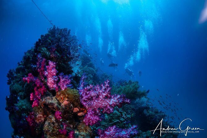 Scuba Dive the S.S. Yongala Wreck on the Great Barrier Reef. - Detailed Itinerary and Highlights