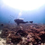 Scuba Diving in Phuket  4-Day 3-Night Experience - What to Expect from the 4-Day Phuket Diving Tour
