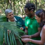 Sea Acres Rainforest Boardwalk Tour - Accessibility and Practical Considerations