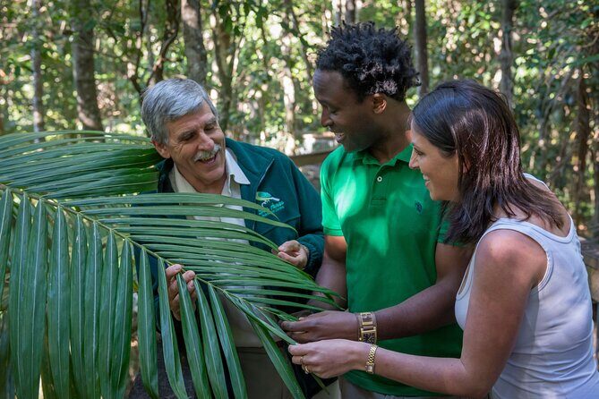 Sea Acres Rainforest Boardwalk Tour - Accessibility and Practical Considerations